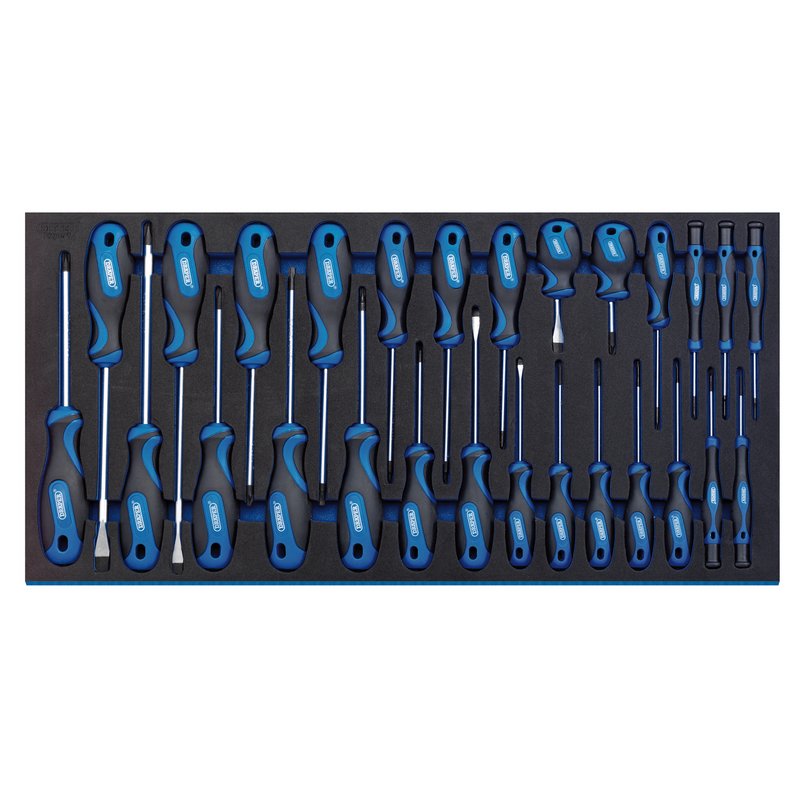 Soft Grip Screwdriver Set in Full Drawer EVA Insert Tray (27 Piece ...